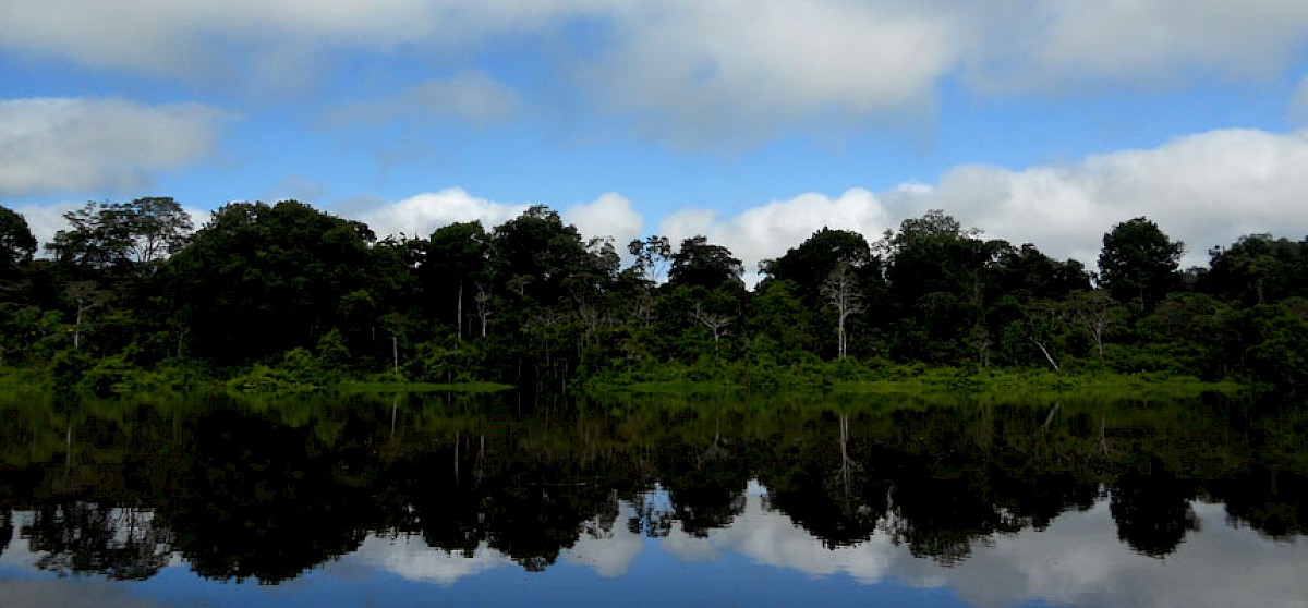 Colombia Amazon Tour | Wildlife Tours | Uncover Colombia Uncover Colombia
