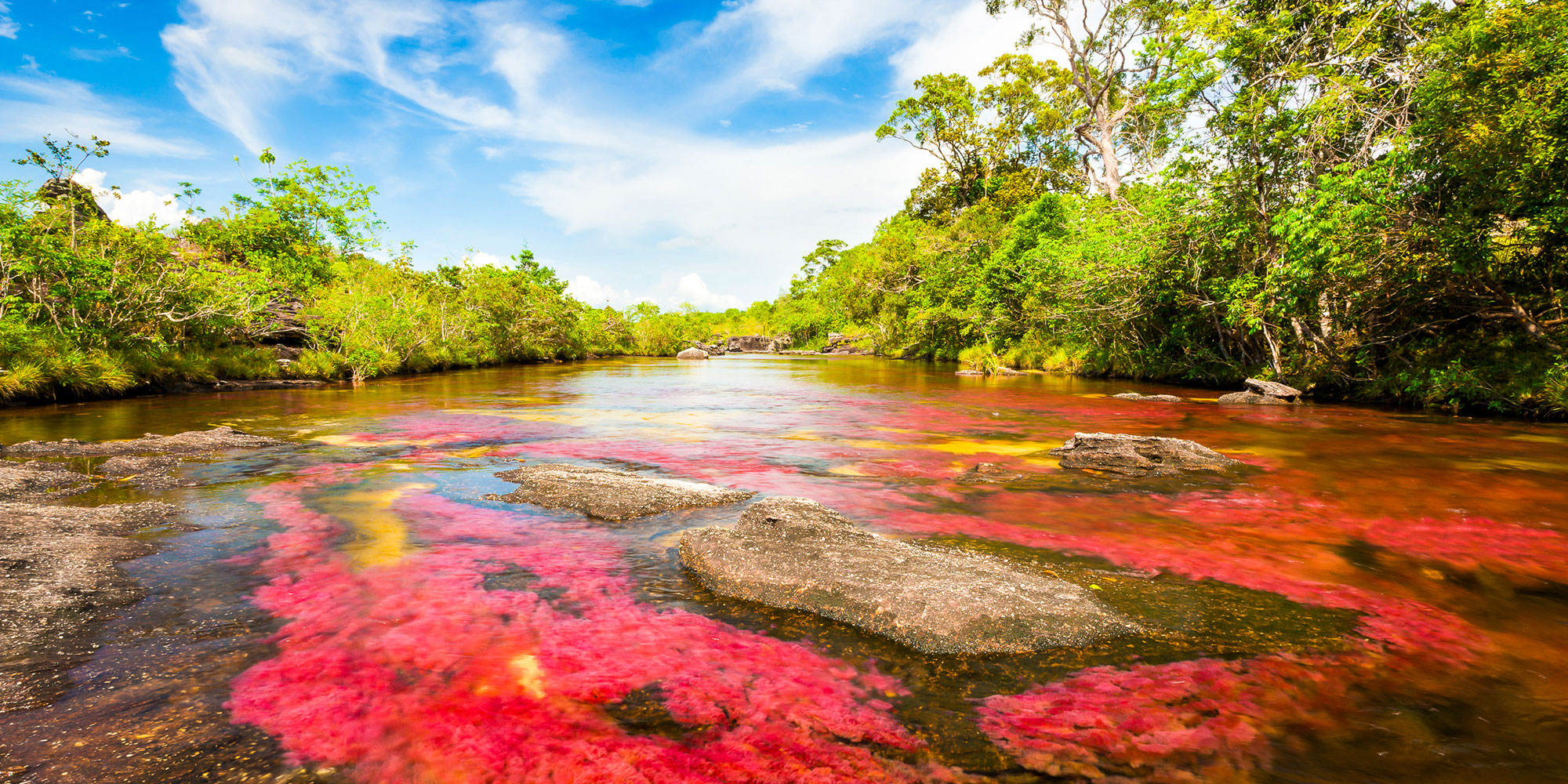 Caño Cristales Tour | La Macarena Natural Park | Uncover Colombia